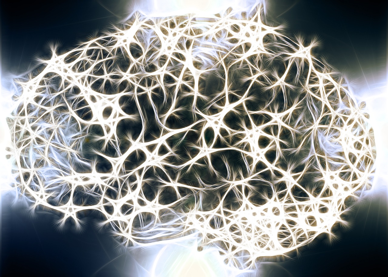 Neuroplasticidade: como estimular o cérebro a se adaptar?